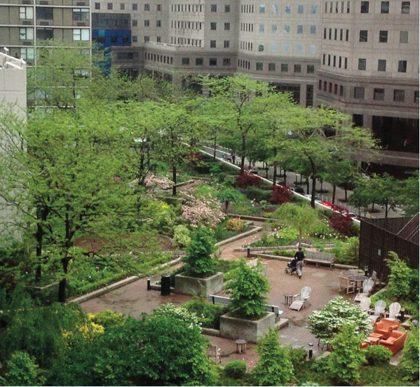 Cities as partners in global climate action