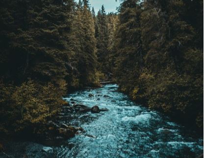 Flood risk management for managing cross-border hazards