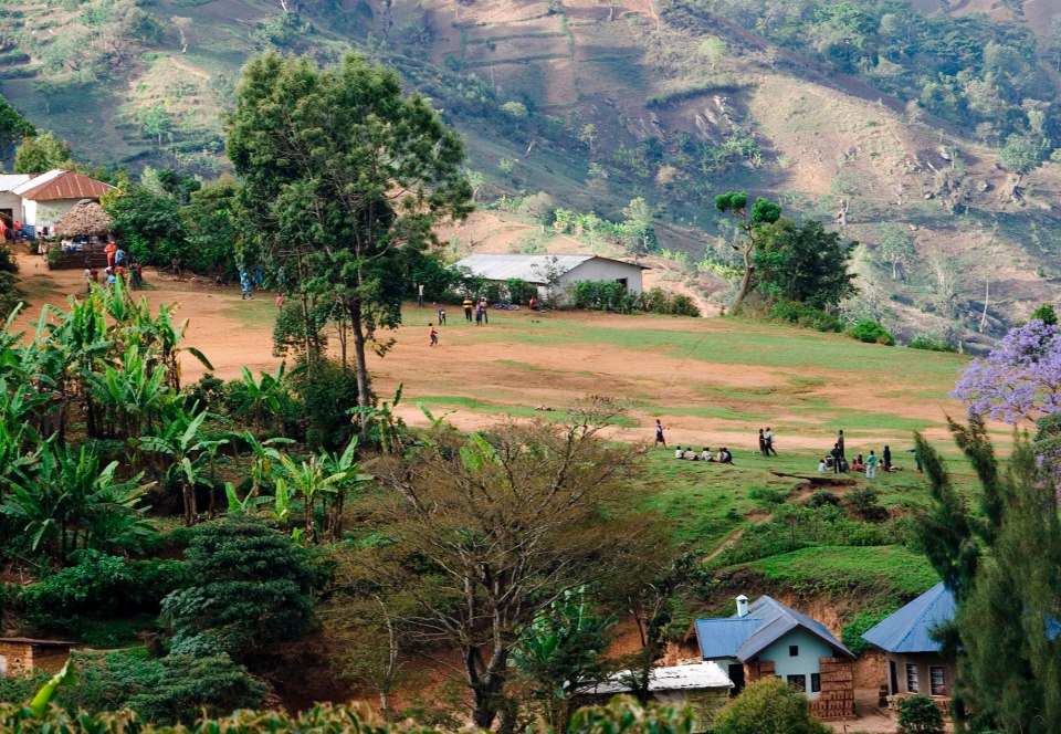 Eastern Arc Mountains Tanzania Eastern Arc Mountain Forests Tanzania