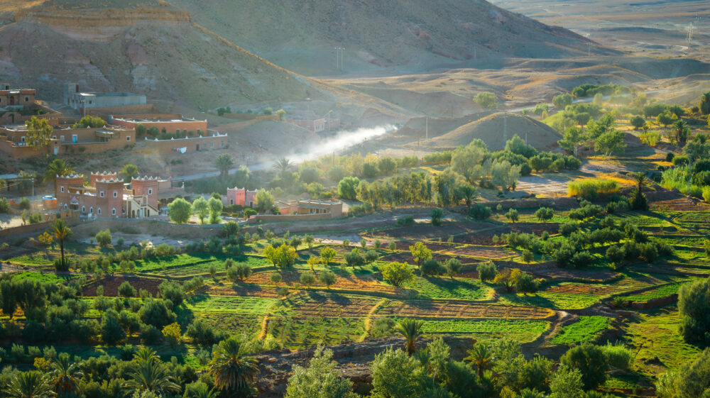 From participatory process to robust decision-making: an agriculture ...
