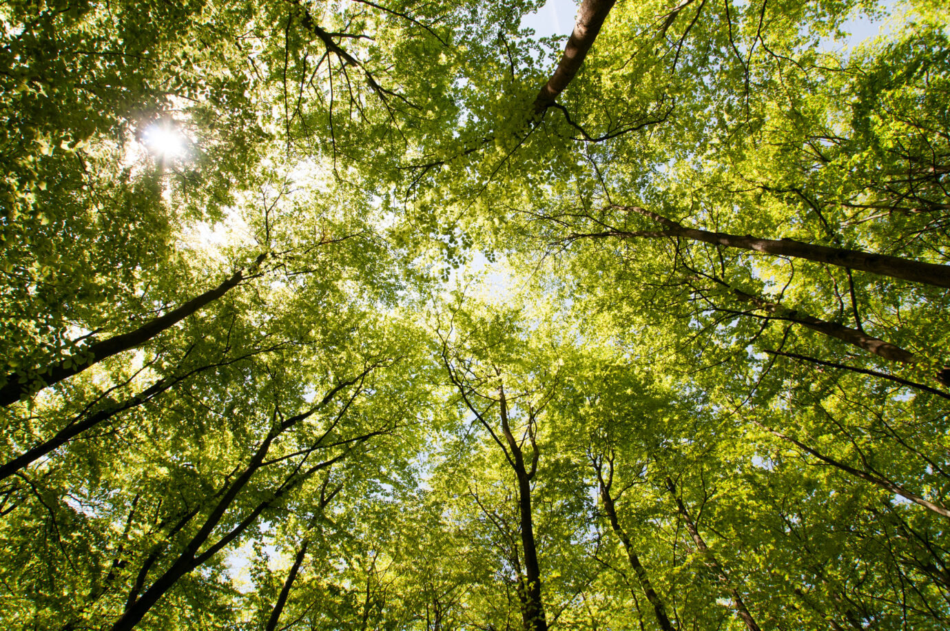 The circular economy – a tool for reaching an inclusive, carbon-free ...