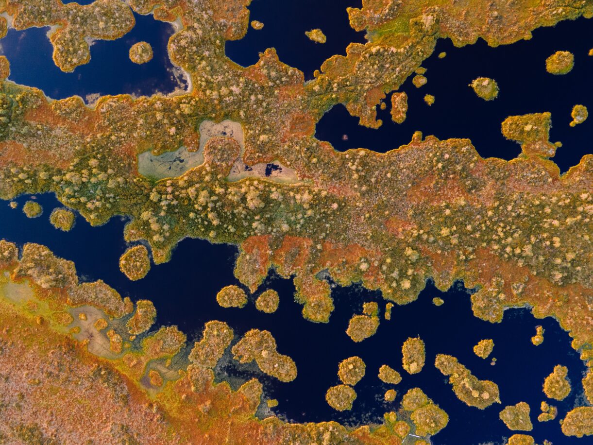 SEI Tallinn 30th anniversary conference: "Building resilience through ...