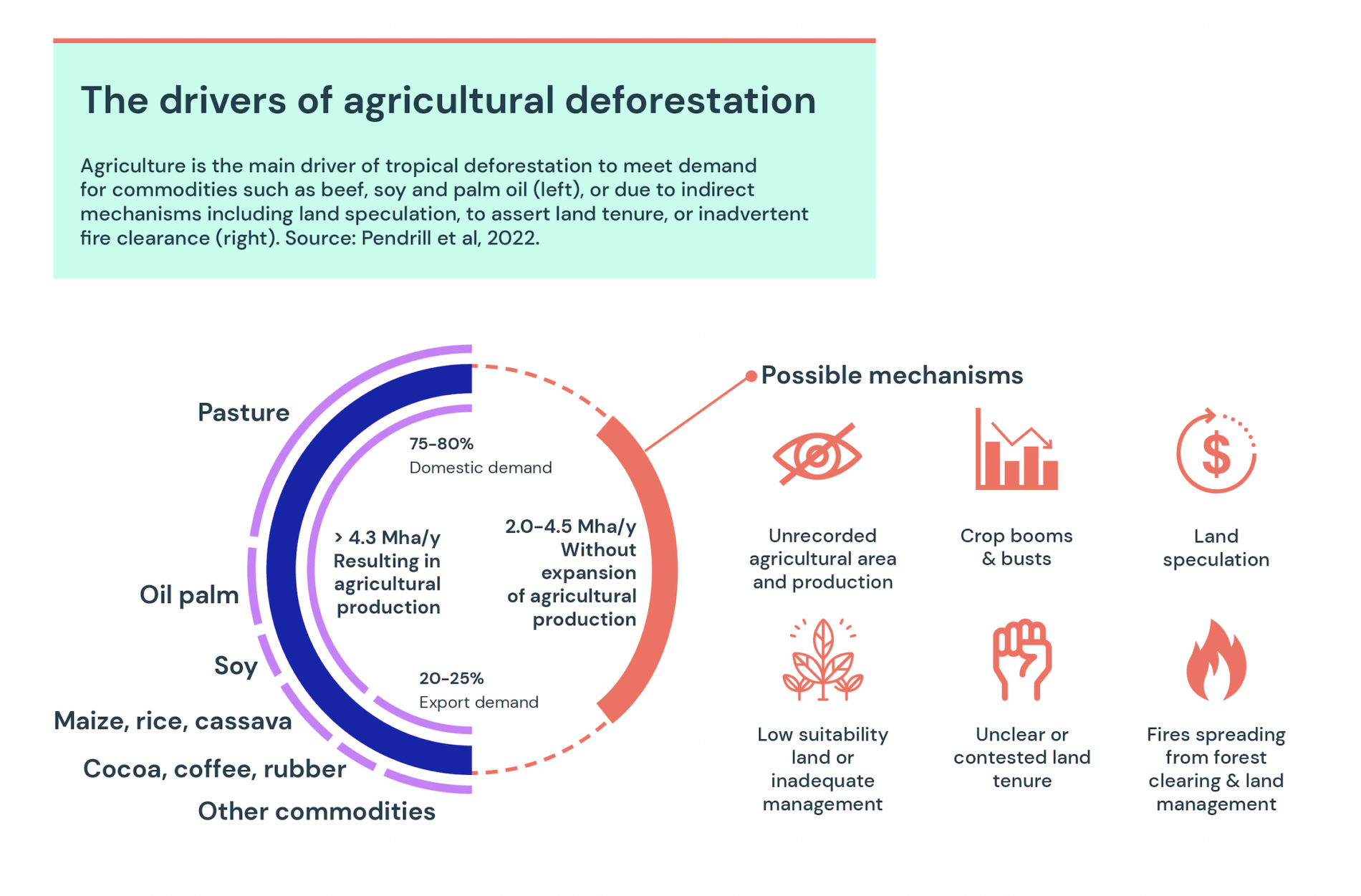 To tackle deforestation we need to focus on land use. Here's why | SEI