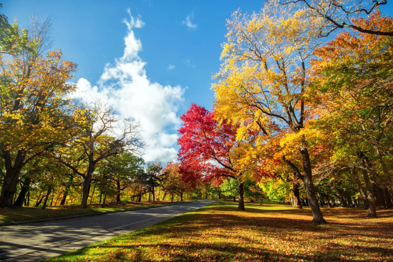 Genesee – Finger Lakes Emissions Scenario Analysis | SEI
