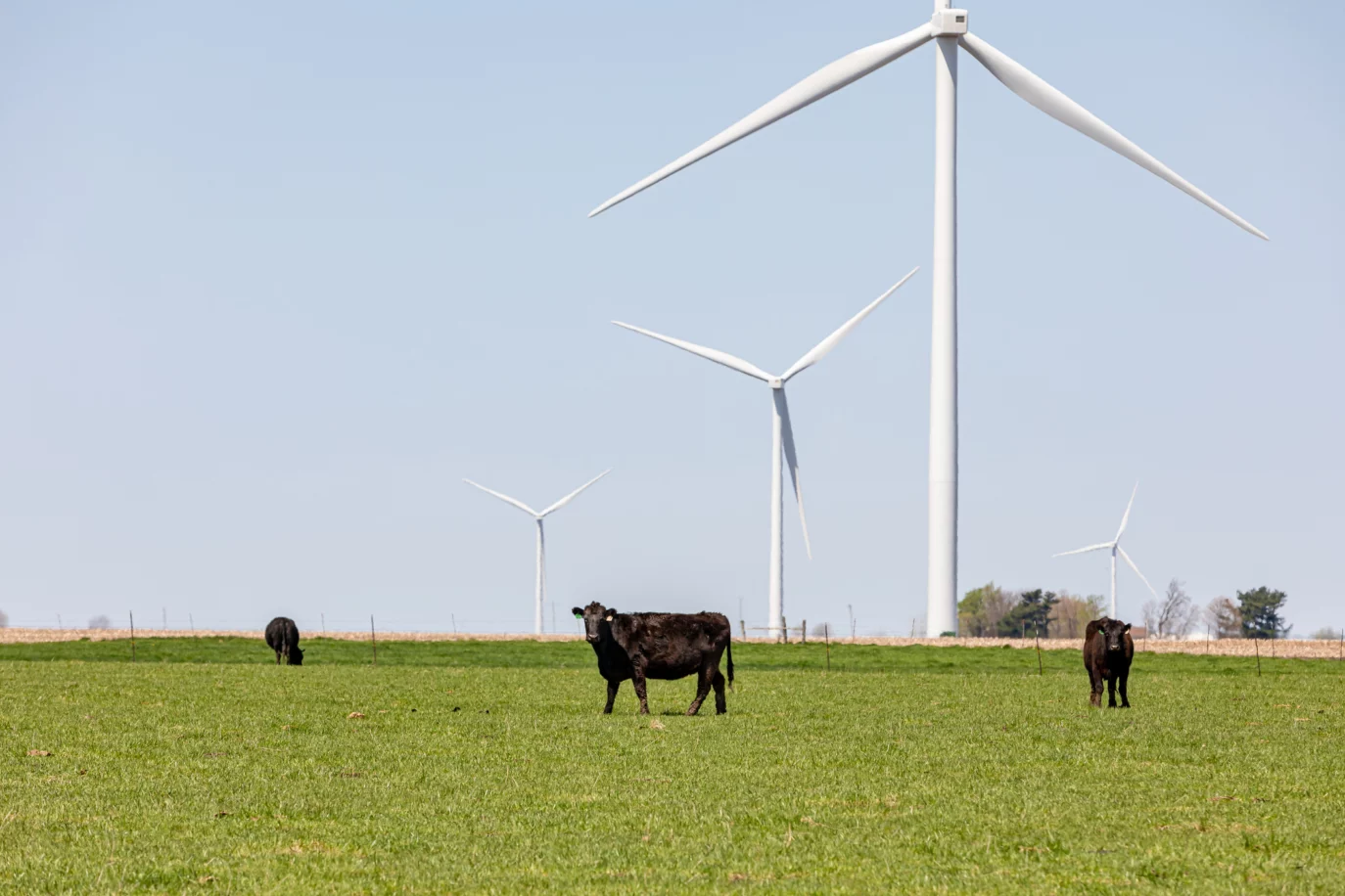 Ten new insights in climate science 2024 | SEI