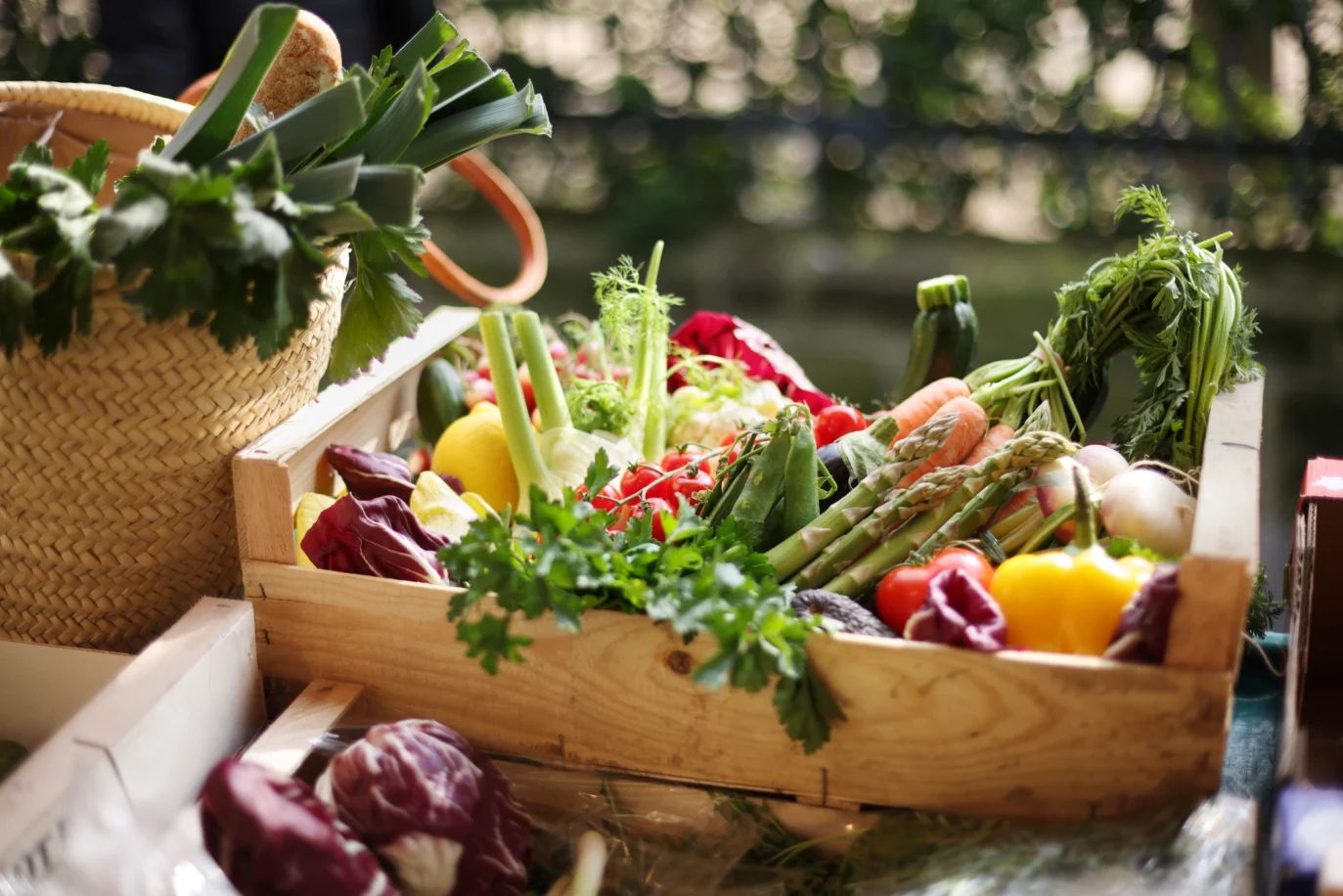 Mapping school food provision models in European cities: Operational ...