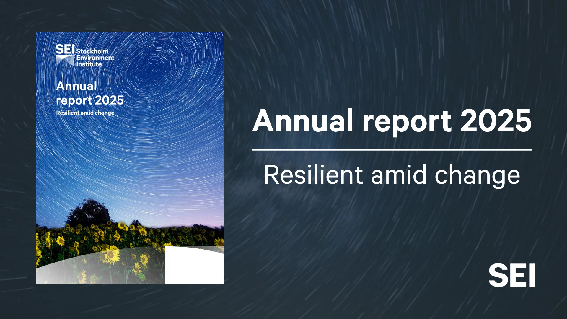 Annual report 2025 | SEI